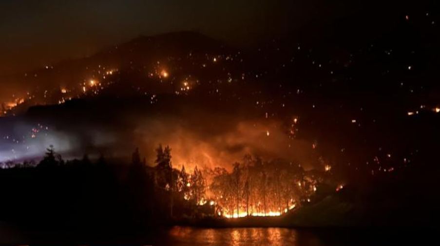 New AI wildfire cameras coming to Oregon's Columbia Gorge after ...