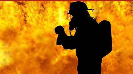 14 firefighters suffer allergic reaction from Egberts Fire in Nevada ...