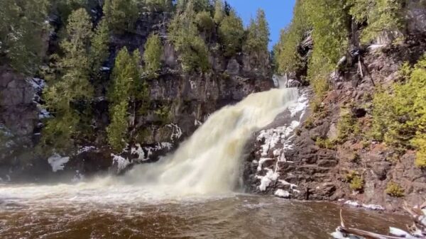 88-year-old man rescued hanging from tree after falling 30 feet off ...